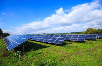 State approves New York’s largest solar farm | New York Construction Report
